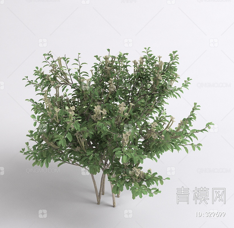 【花草3D模型】-VR无灯光有贴图MAX2012花草3d模型下载-ID329699-免费3Dmax模型库 - 青模3d模型网