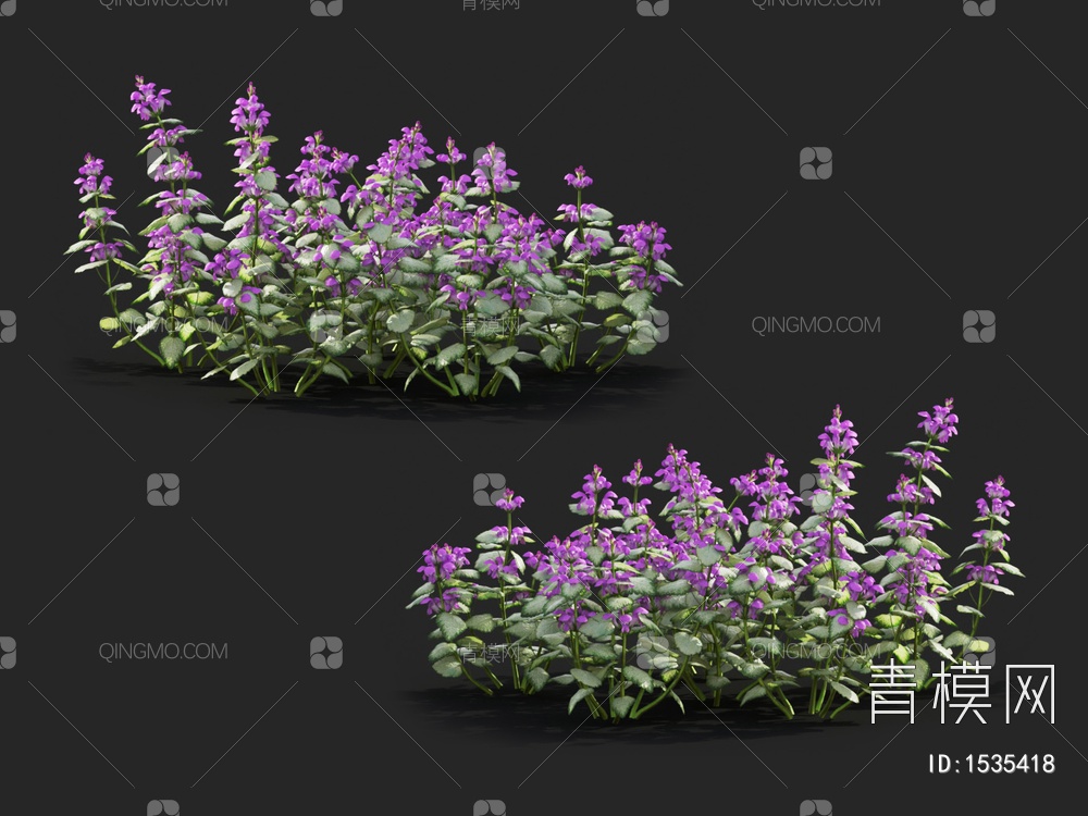 【紫花 野芝麻花3D模型】-现代无灯光有贴图MAX2016其他紫花 野芝麻花3d模型下载-ID1535418-免费3Dmax模型库 - 青模3d模型网