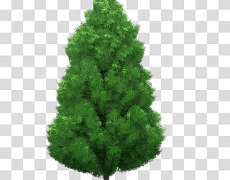 【植物树PS素材】 -PNG植物树